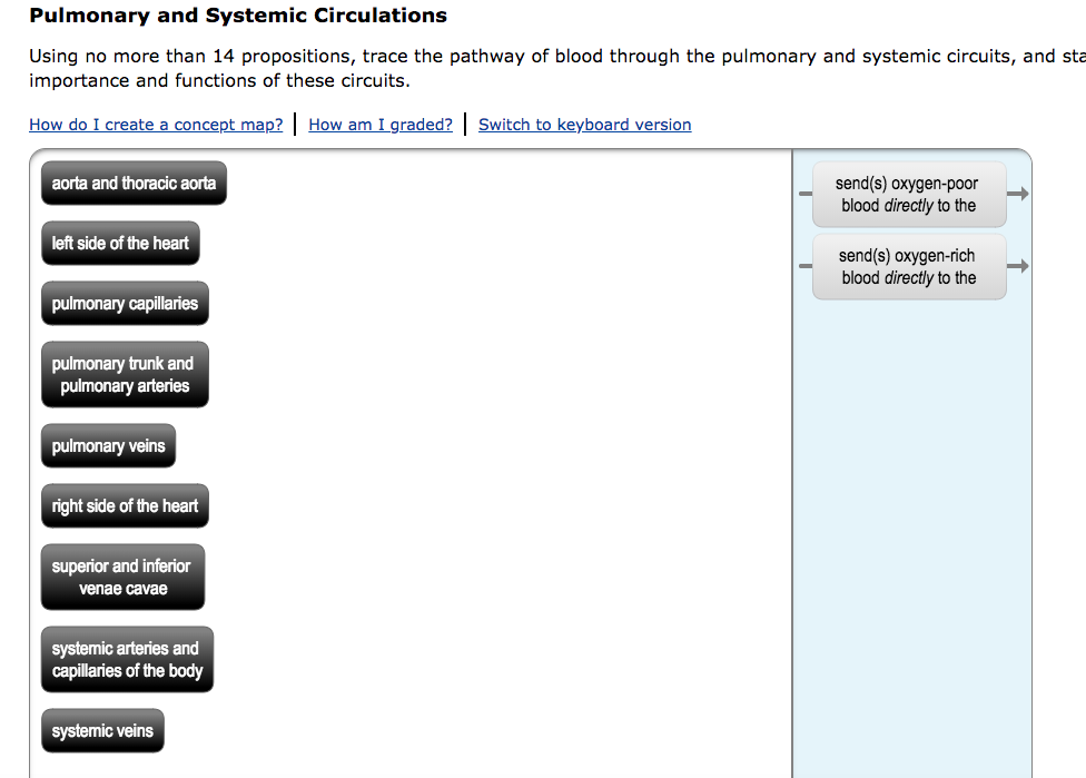 Solved Pulmonary and Systemic Circulations Using no more | Chegg.com