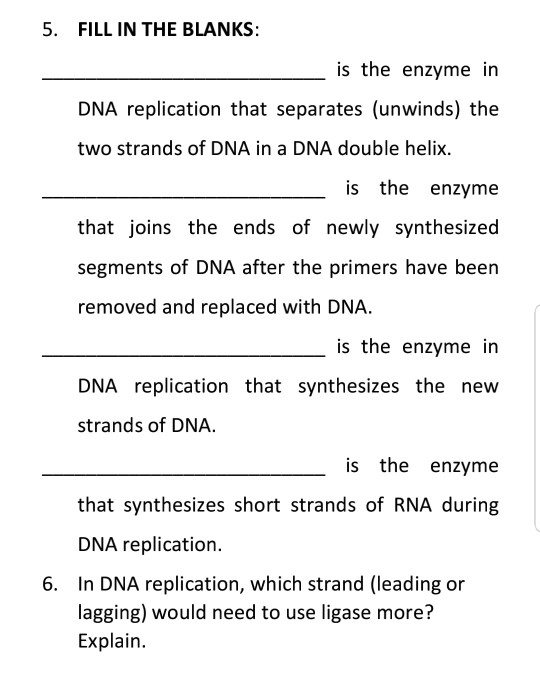 Solved 5. FILL IN THE BLANKS: is the enzyme in DNA | Chegg.com