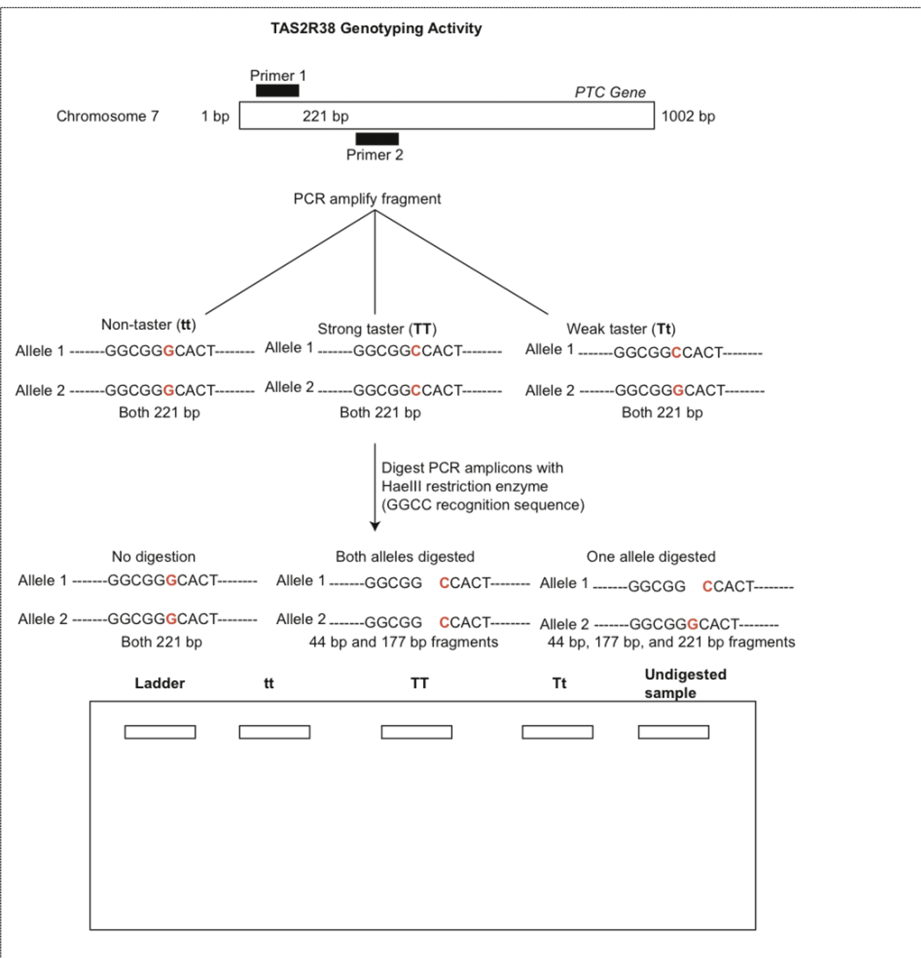 Solved A general overview of the PTC laboratory procedure is | Chegg.com