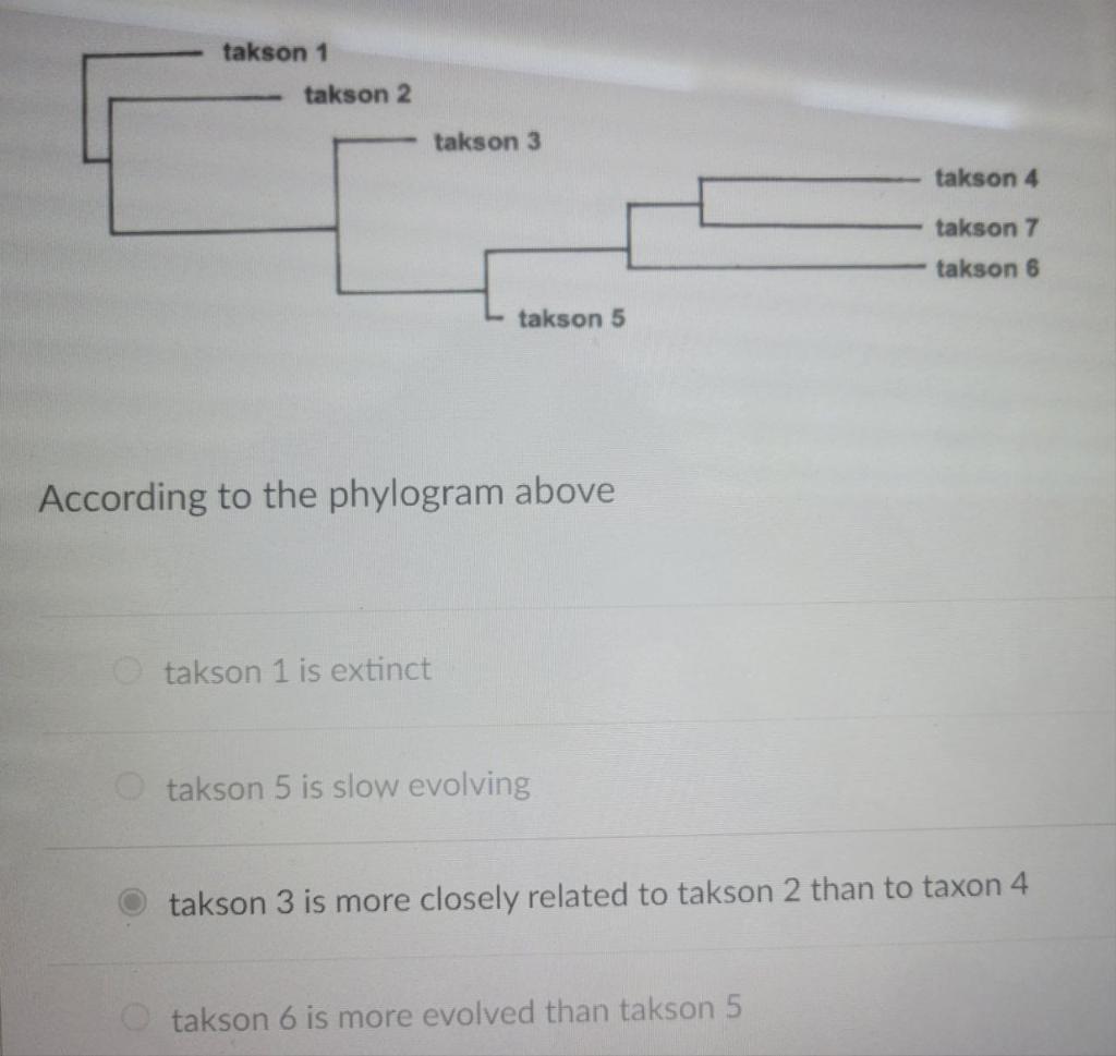 Solved According to the phylogram above takson 1 is extinct | Chegg.com