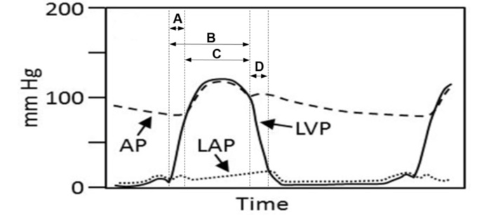 Solved The attached graph shows the time course of changes | Chegg.com