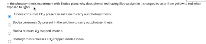 Solved In the photosynthesis experiment with Elodea plant, | Chegg.com