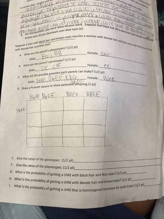 Solved x of In certain fish, red fish and D roie tha black | Chegg.com