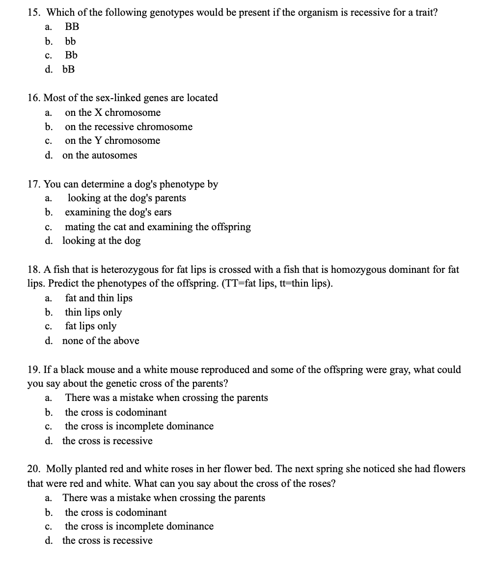 Homozygous Recessive Letters