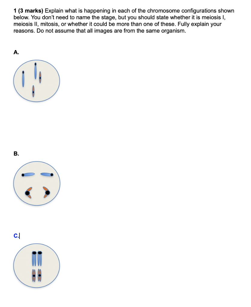 Solved 1 (3 marks) Explain what is happening in each of the | Chegg.com