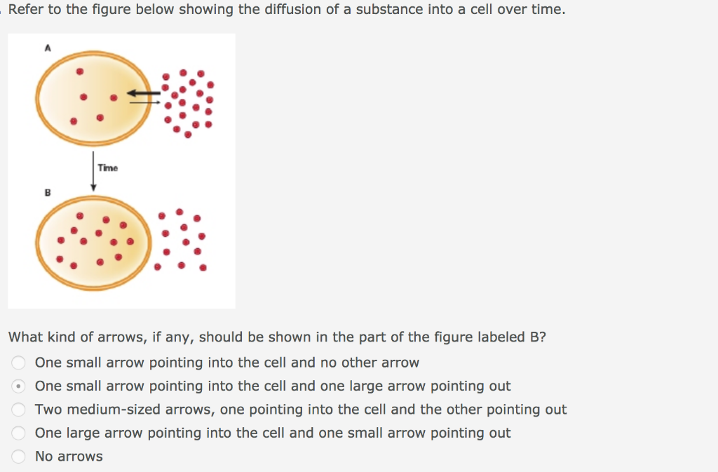 Solved Refer to the figure below showing the diffusion of a | Chegg.com