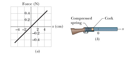 Solved Figure (a) applies to the spring in a cork gun | Chegg.com