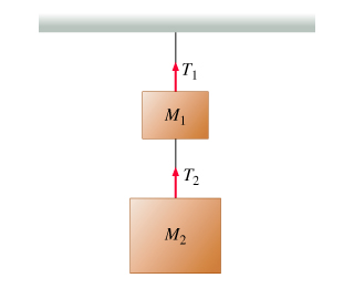 Solved Two blocks with masses M1 and M2 hang one under | Chegg.com