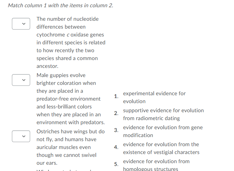 Solved Match column 1 with the items in column 2. The number | Chegg.com
