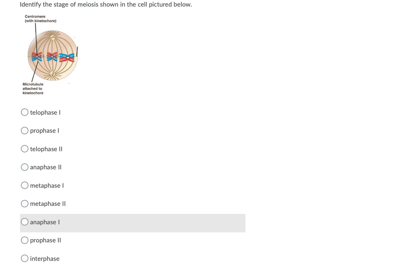 Solved Identify the stage of meiosis shown in the cell | Chegg.com