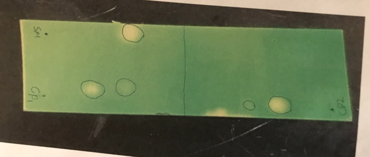 Solved The starting material and CP1 are on the left side, | Chegg.com