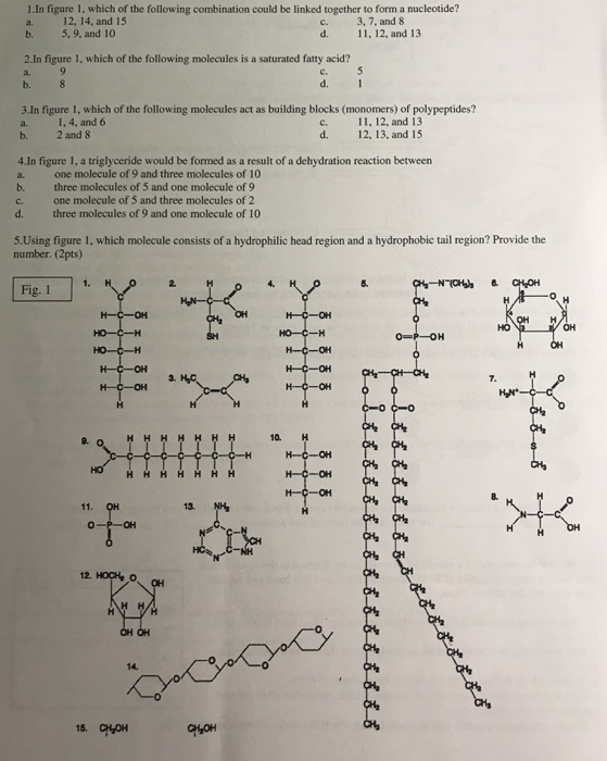 Solved 1.In figure 1, which of the following combination | Chegg.com
