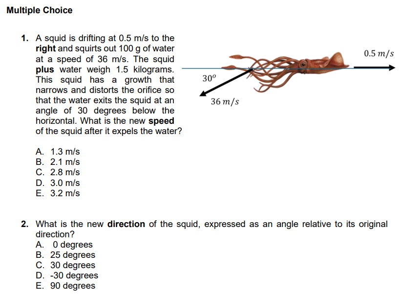 Solved Multiple ChoiceA squid is ﻿drifting at 0.5ms to | Chegg.com