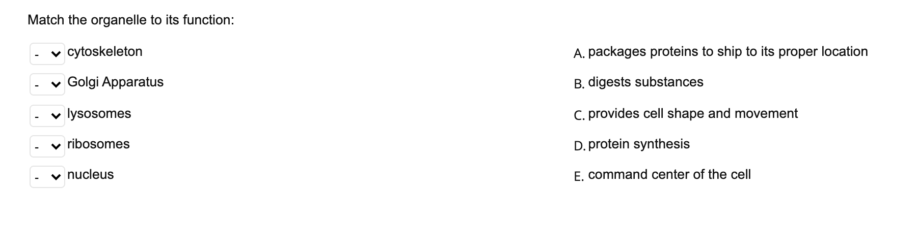 Solved Match the organelle to its function: v cytoskeleton | Chegg.com