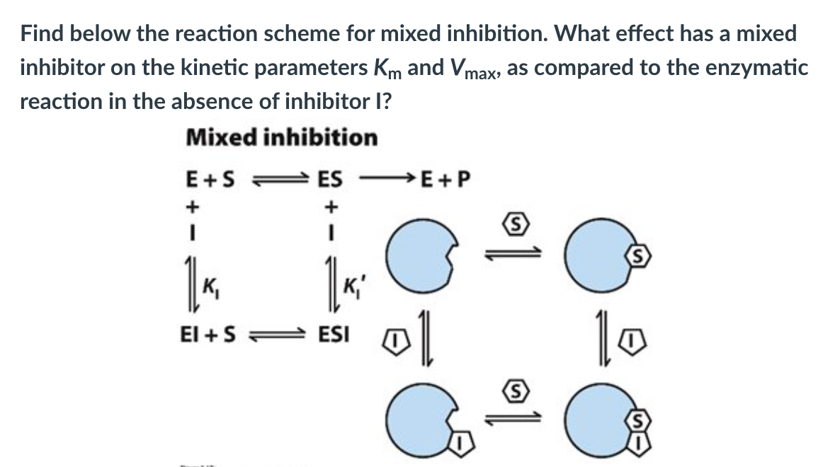 Solved Find below the reaction scheme for mixed inhibition. | Chegg.com
