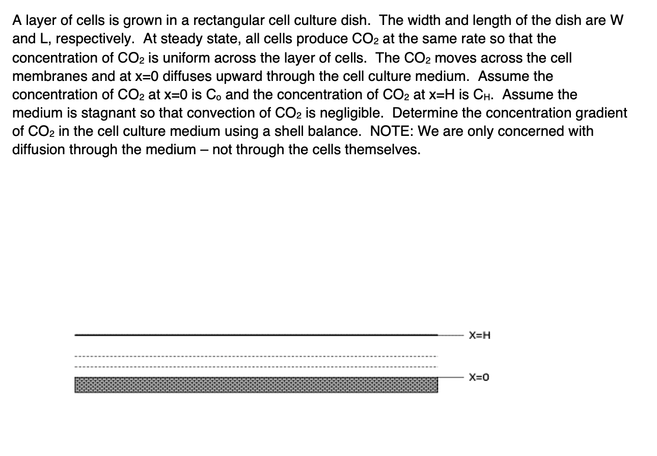 Solved A layer of cells is grown in a rectangular cell | Chegg.com