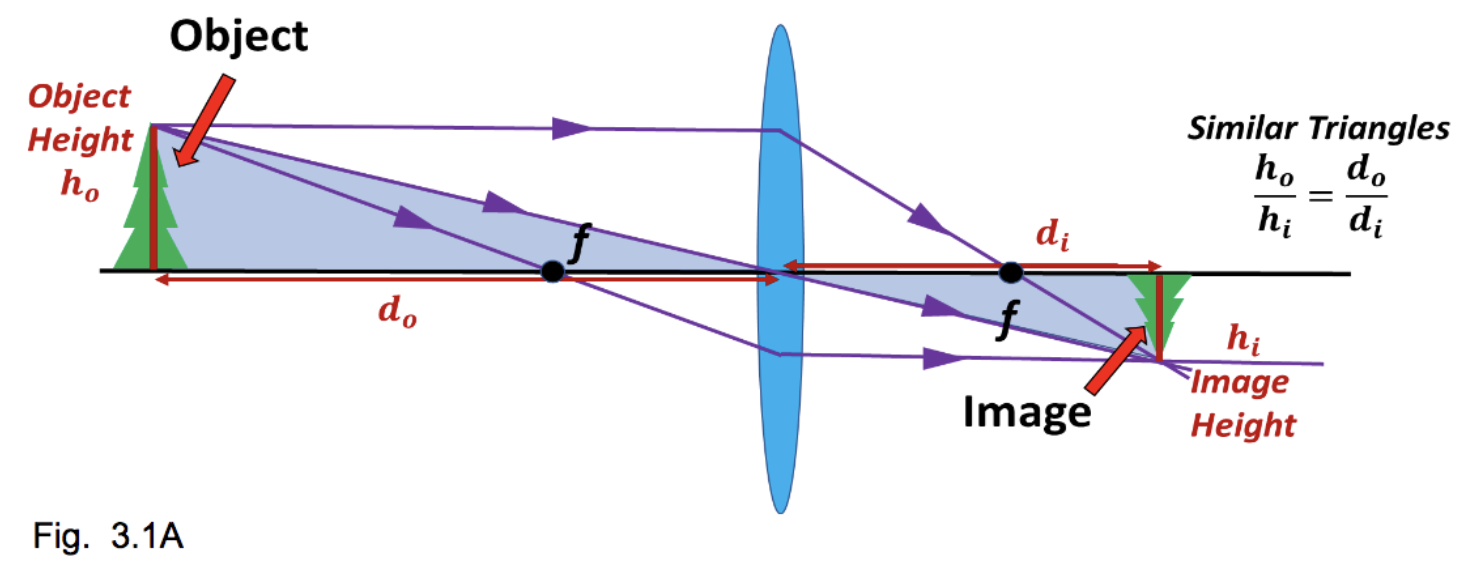 Solved help me with three qustion please 1) The triangles | Chegg.com