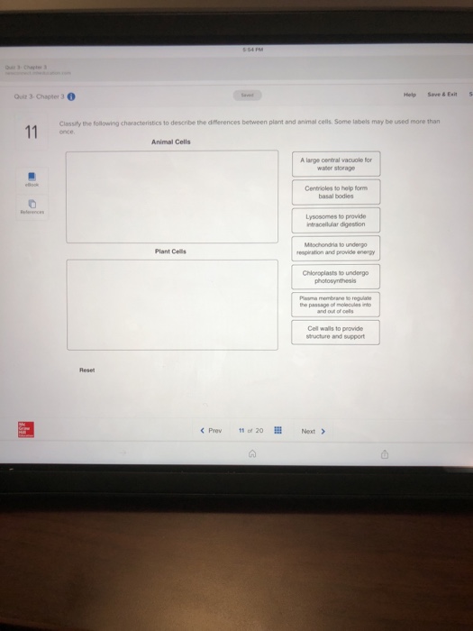 Solved Quir 3 Chapter 3 Help Save & Enit s Classify the | Chegg.com