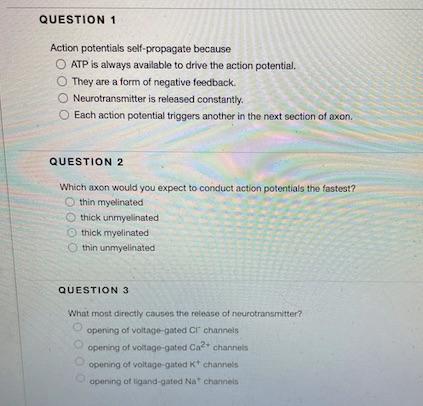 Solved QUESTION 1 Action potentials self-propagate because | Chegg.com