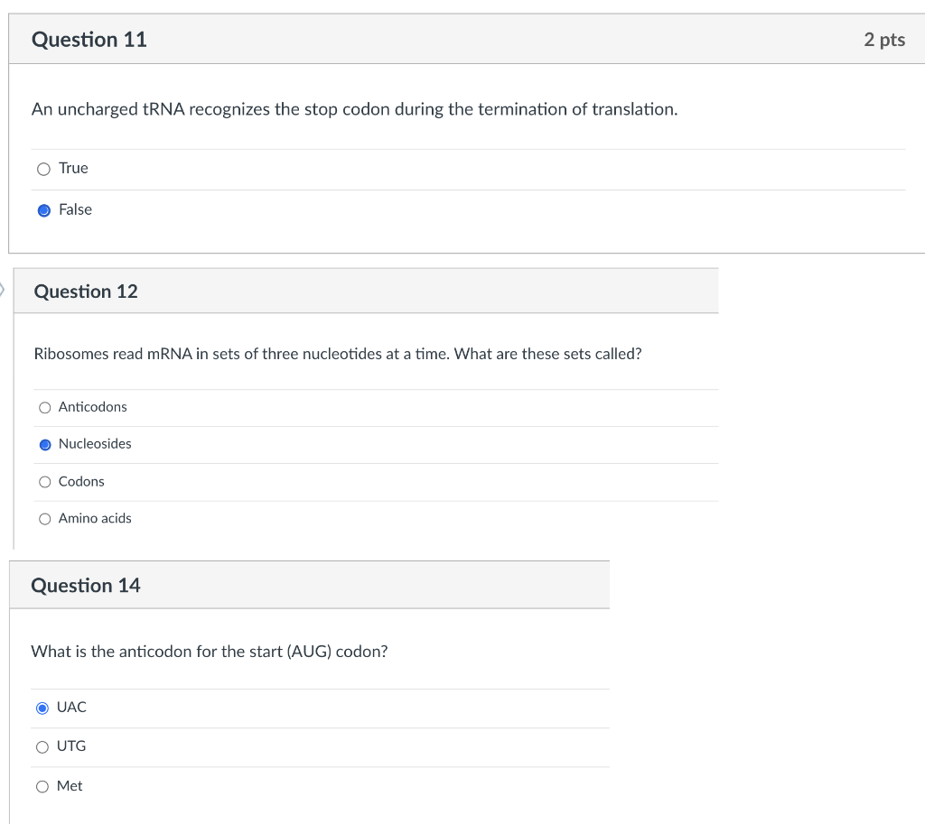 Solved An uncharged tRNA recognizes the stop codon during | Chegg.com