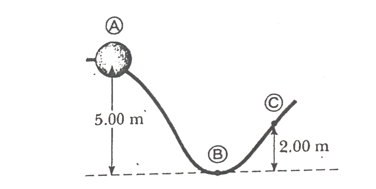 Solved A 0.4kg bead slides on a curved wire, starting from | Chegg.com