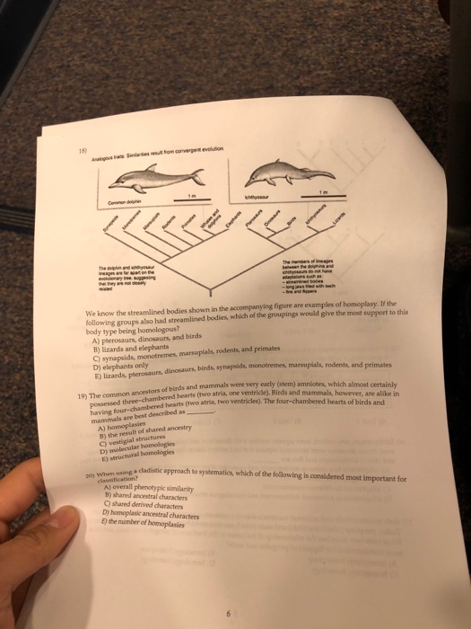 Solved 15) GIs We know the streamlined bodies shown in the | Chegg.com