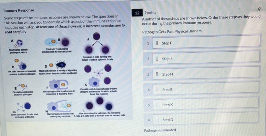 Solved A subset of these steps are shown below. Order these | Chegg.com