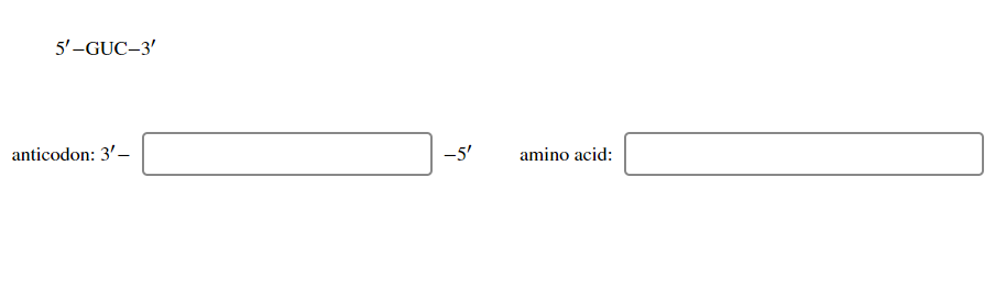 Solved For each codon, provide the anticodon and the | Chegg.com