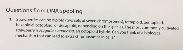 Solved Questions from DNA spooling 1. Strawberries can be | Chegg.com