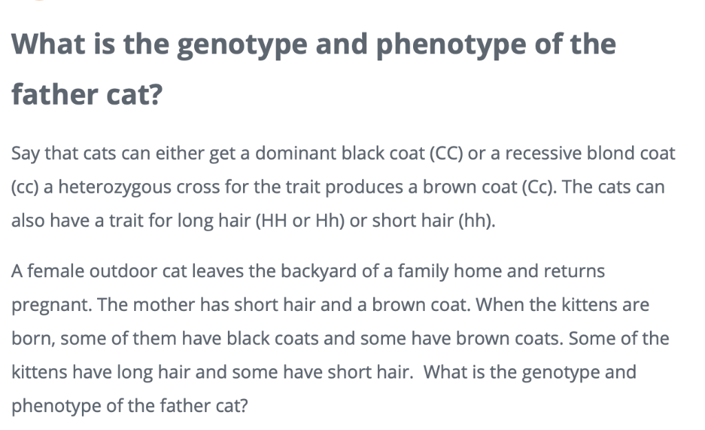 Solved What is the genotype and phenotype of the father cat? | Chegg.com