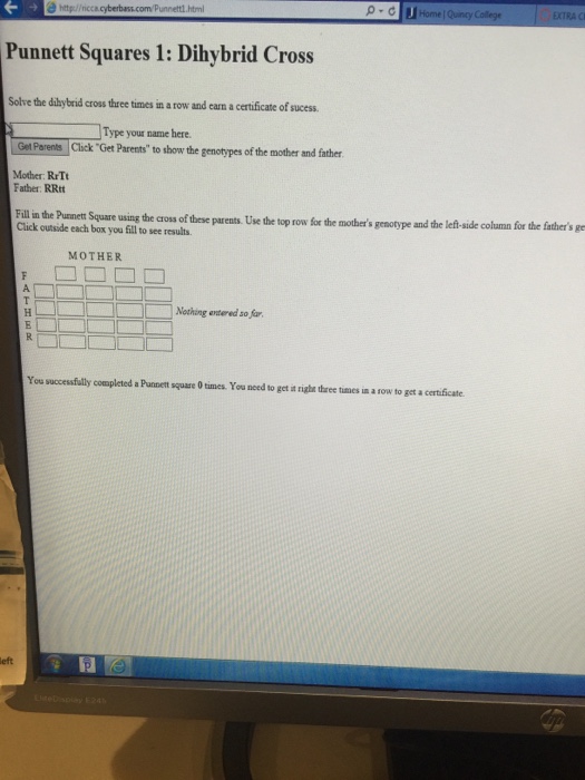 Solved Punnett Squares, 1: Dihybrid Cross Solve the dihybrid | Chegg.com
