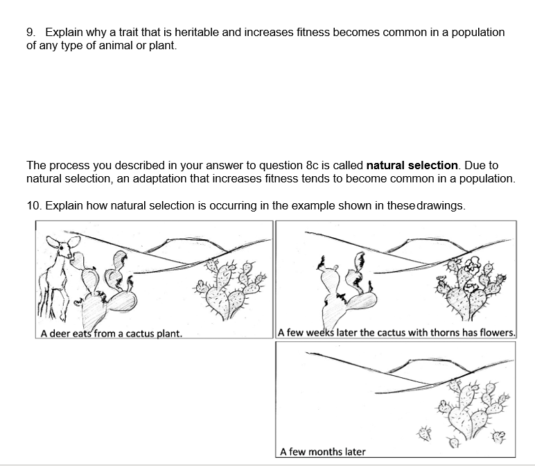 Solved 9. Explain why a trait that is heritable and | Chegg.com