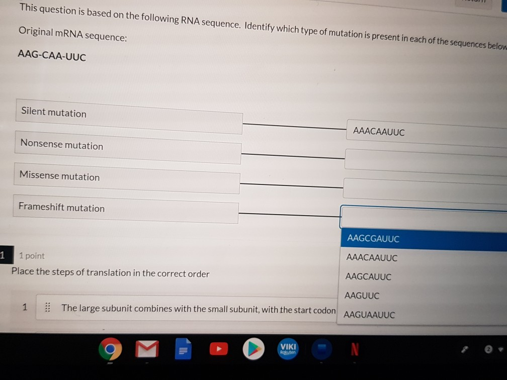 Solved This question is based on the following RNA sequence. | Chegg.com