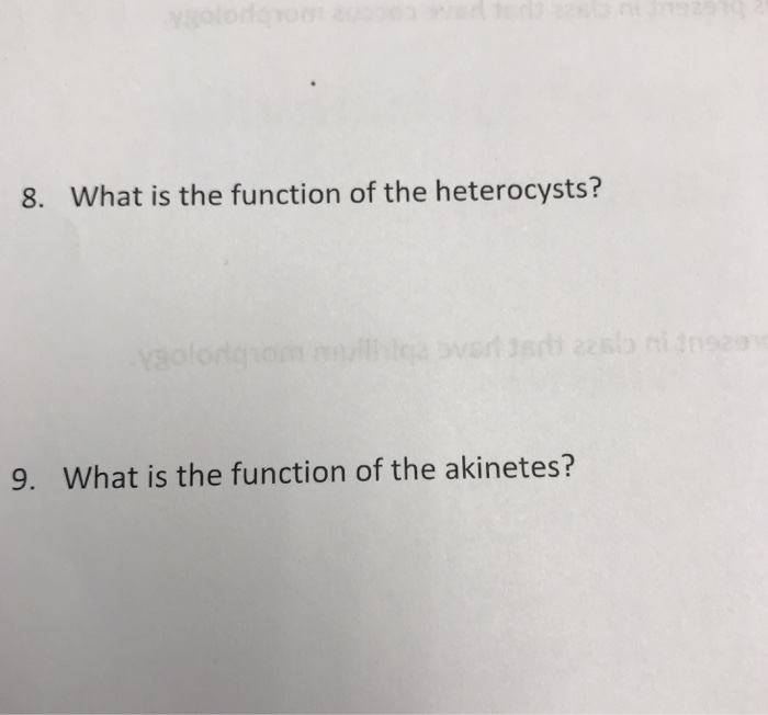 Solved 8. What is the function of the heterocysts? 9. What | Chegg.com