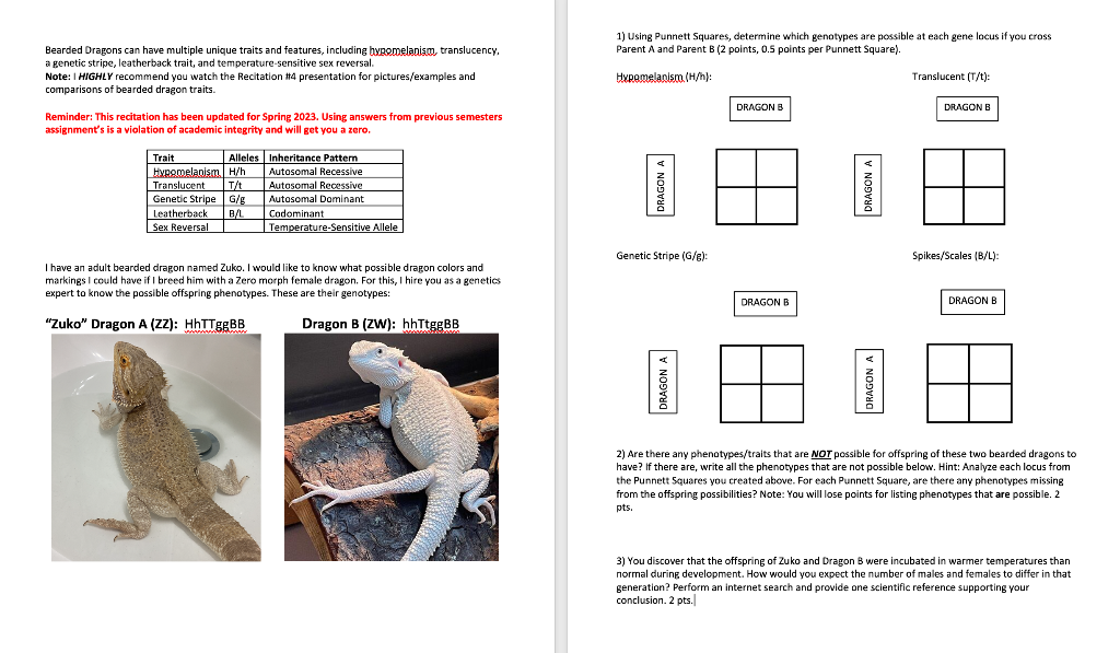 Solved 1) Using Punnett Squares, determine which genotypes | Chegg.com