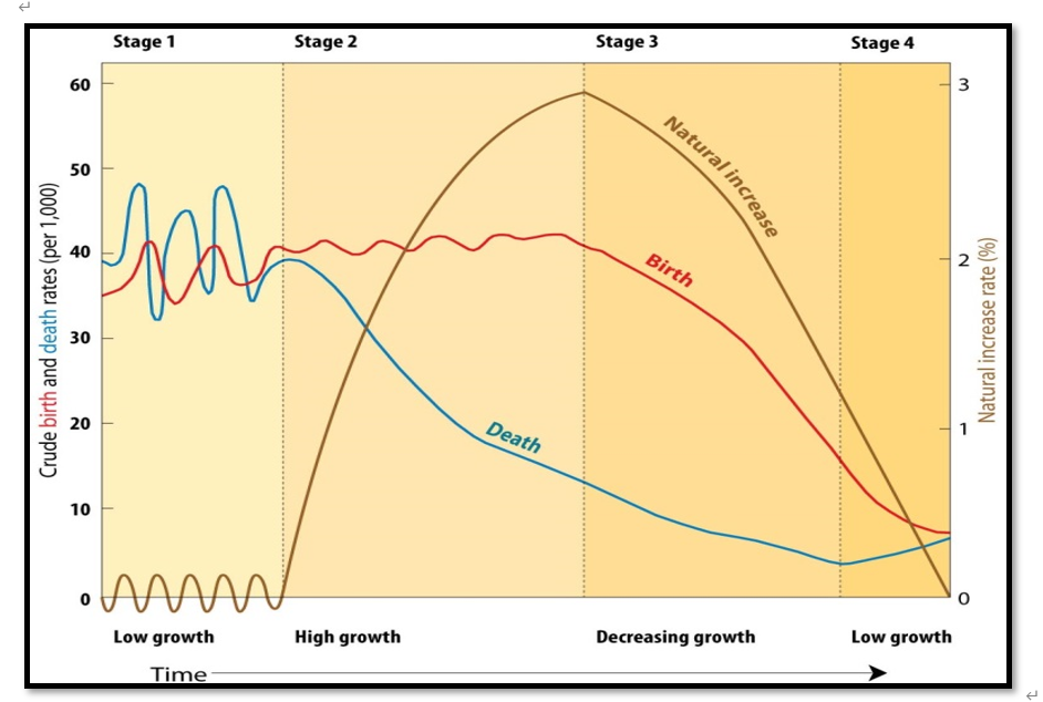 Solved Short answer： 1. Reflecting on the tutorial | Chegg.com