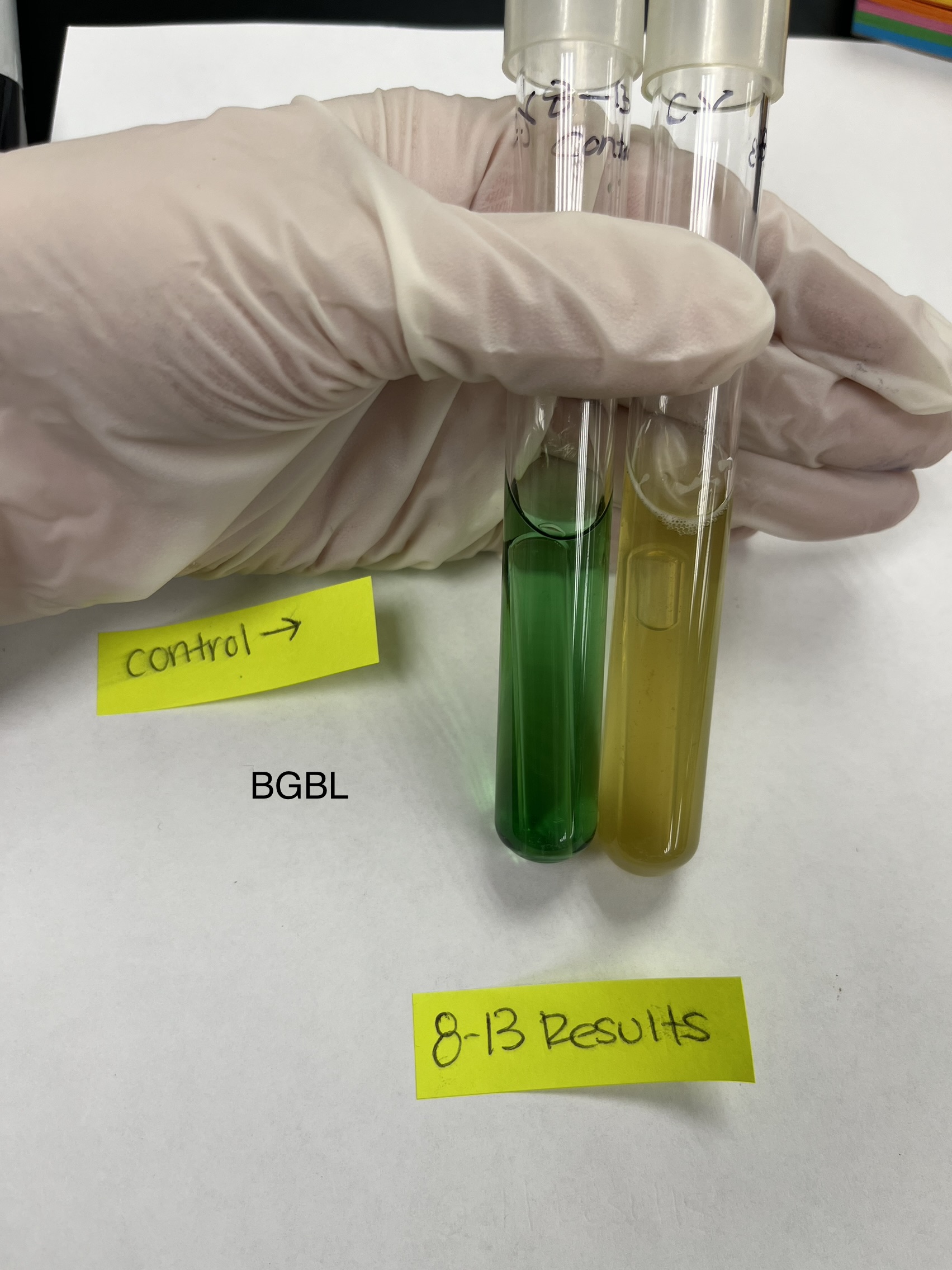 Solved QUESTION: WHAT IS THE UNKNOWN BACTERIA BASED ON THESE | Chegg.com