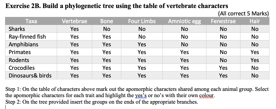 Solved Yes Exercise 2B. Build a phylogenetic tree using the | Chegg.com