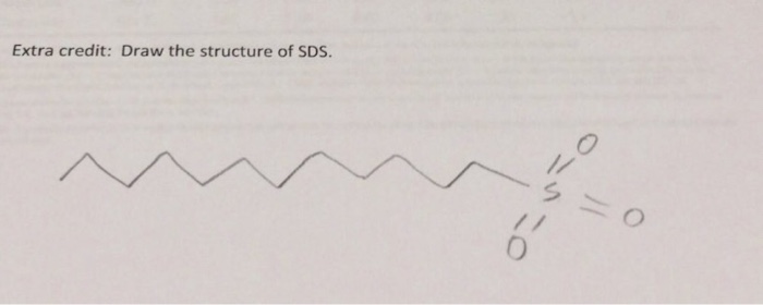 Solved Extra credit: Draw the structure of SDS | Chegg.com