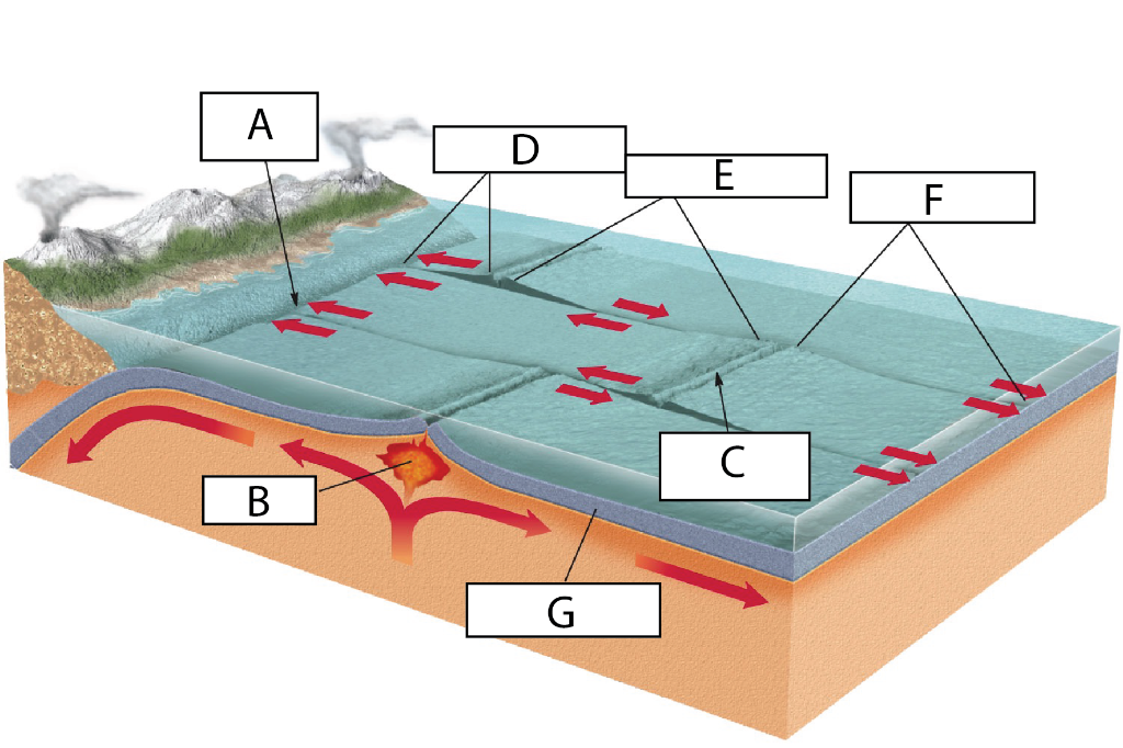 Solved The figure below shows an idealized tectonic block | Chegg.com