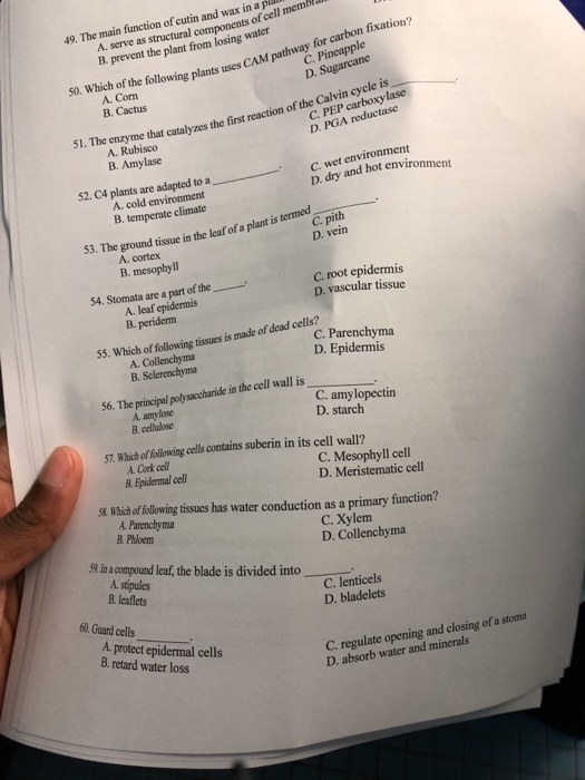 Solved 49. The main function of cutin and wax in a pla of | Chegg.com