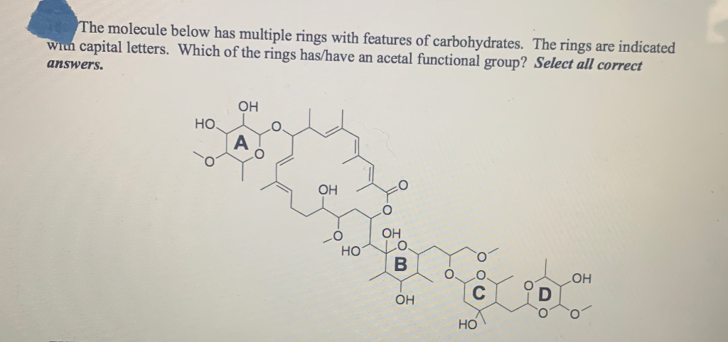 Solved The molecule below has multiple rings with features | Chegg.com