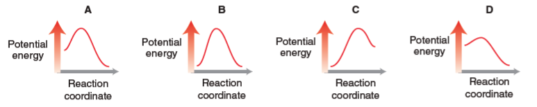 Solved Draw a reaction for these graphs if a catalyst was | Chegg.com