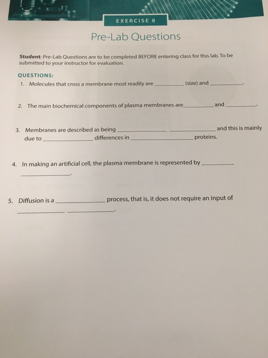 Solved EXERCISE 8 Pre-Lab Questions Student: Pre-Lab | Chegg.com Solved EXERCISE 8 Pre-Lab Questions Student: Pre-Lab | Chegg.com