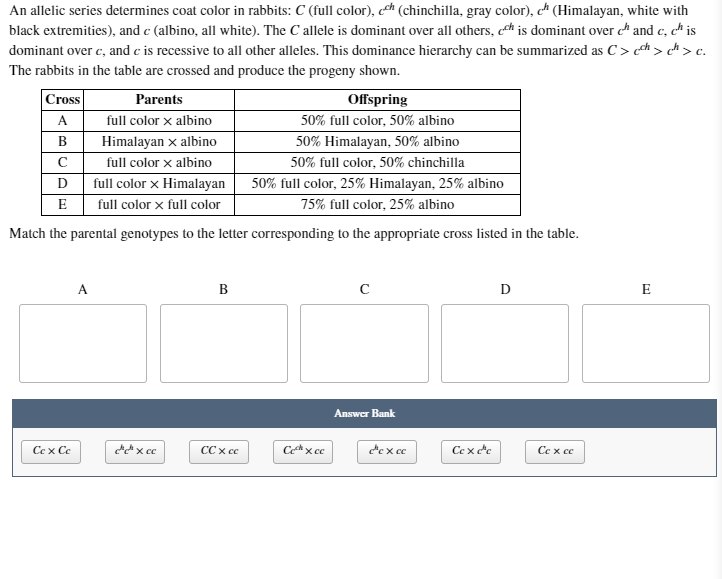 Solved An allelic series determines coat color in rabbits: | Chegg.com