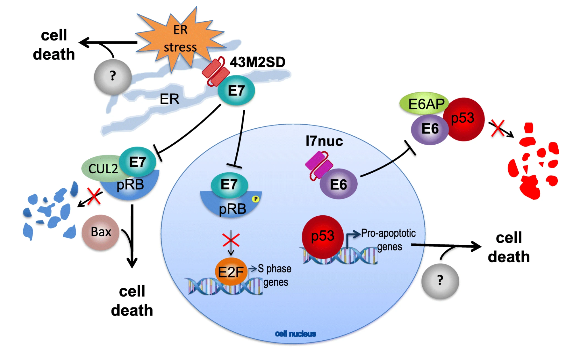 Solved Please explain what is happening in all parts of this | Chegg.com