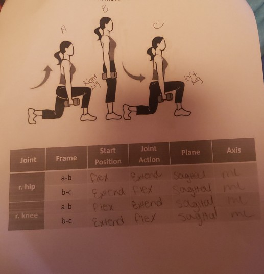 Solved Joint Start Joint Plane Axis Frame Action Position | Chegg.com