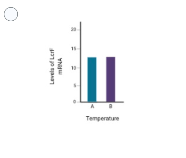 Solved Question 6 (2.5 points) Based off of information from | Chegg.com