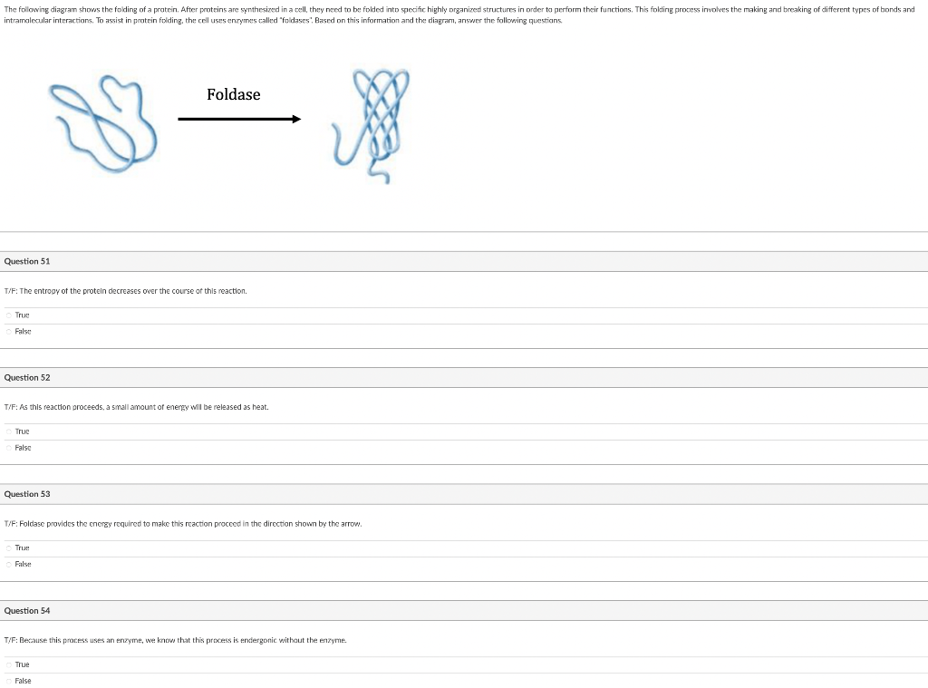 Solved intramolecular interactions. To assist in protein | Chegg.com