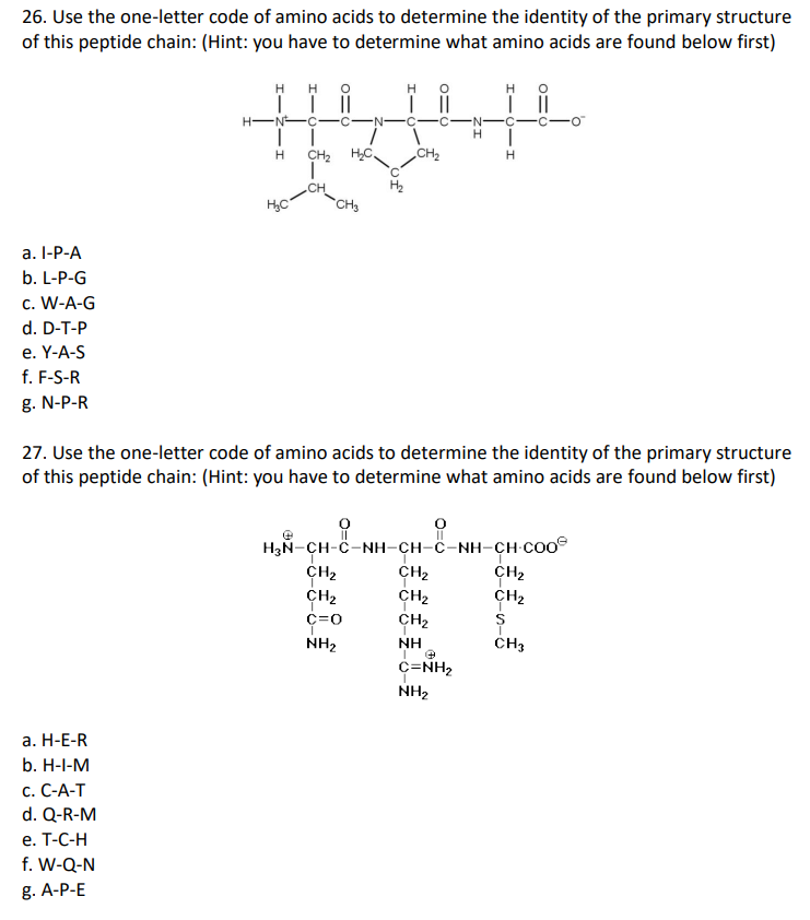 Solved 26. Use the one-letter code of amino acids to | Chegg.com